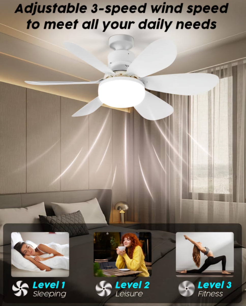 Socket Fan Light – Elevation