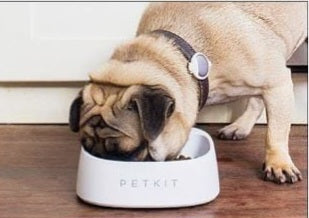 Pet Scale Bowl – Elevation